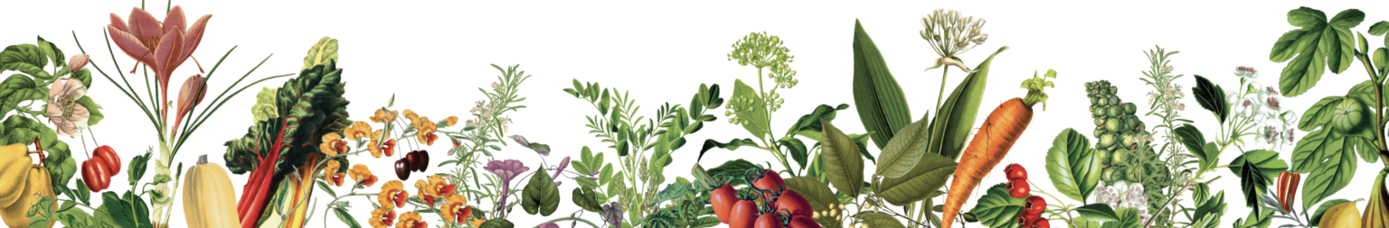 Locations - Le Botaniste | Food and Wine Bar | Plant-based Organic | NYC